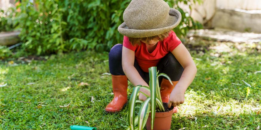 Exciting Gardening and Nature Activities for Preschoolers: Green Thumb ...