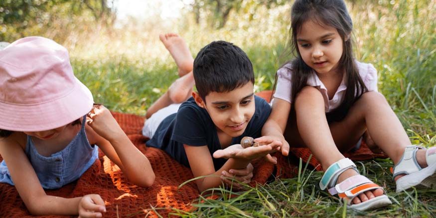 Exploring Preschoolers' Social Development: Insights and Strategies ...