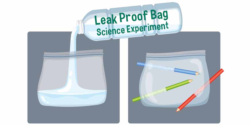 Leak Proof Bag Science Experiment for Kids